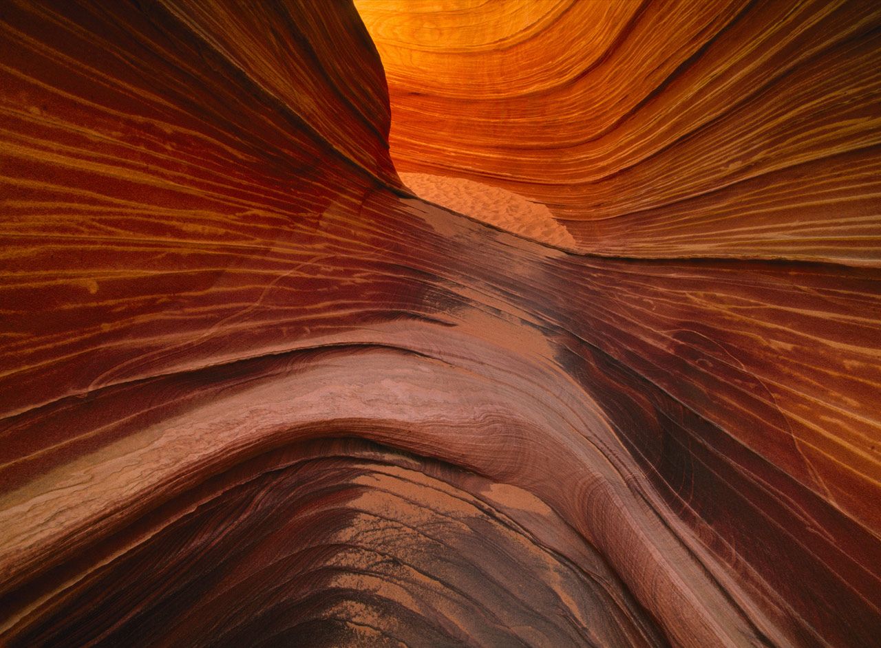 Beautiful Patterns In Nature From National Geographic Part 1 74 Pics