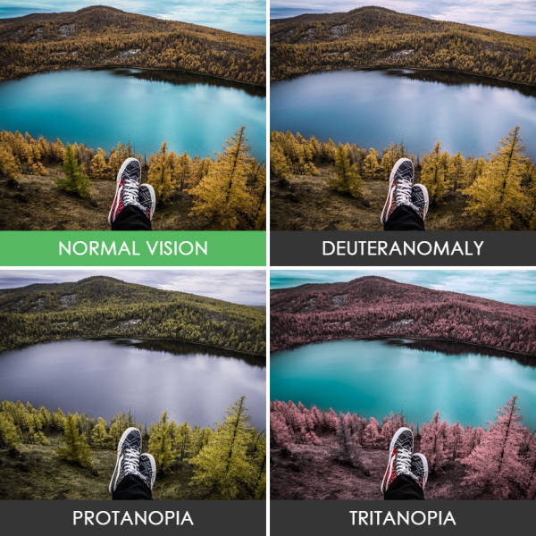 Take A Look At The World The Way Colorblind People See It (40 pics ...