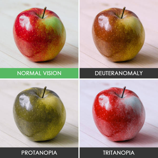 Take A Look At The World The Way Colorblind People See It (40 pics ...