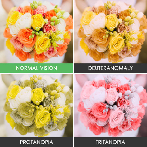 Take A Look At The World The Way Colorblind People See It (40 pics ...
