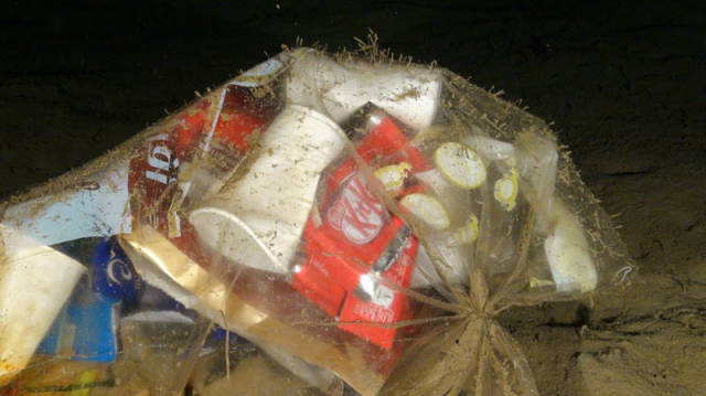 Here’s How Much Trash Can Be Found At The Bottom Of The Sea (40 pics ...