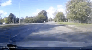 How Did They Even Get Their Driving Licenses?! (12 pics + 15 gifs ...