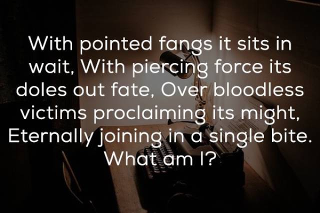 Complex Riddles That Are Actually Very Easy To Solve 15 Pics 