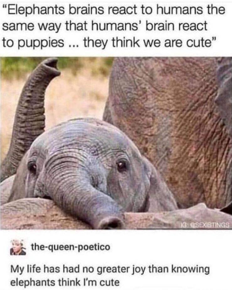 These Memes Are Perfect For The End Of The Week (50 pics) - Izismile.com