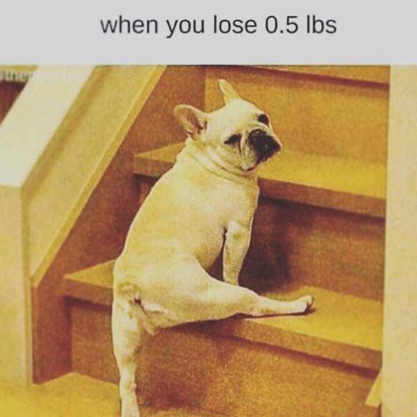 Try To Lose Weight With The Help Of These Memes (100 pics) - Izismile.com