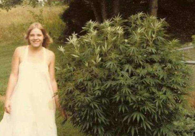 The Moment When You Realize – Your Parents Are Way Cooler Than You (45 ...