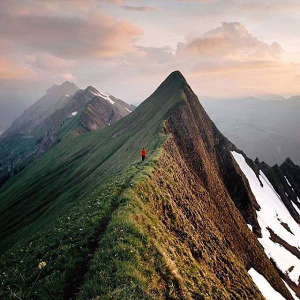 Fine Examples When A Picture Says More Than Just A Thousand Words (50 ...