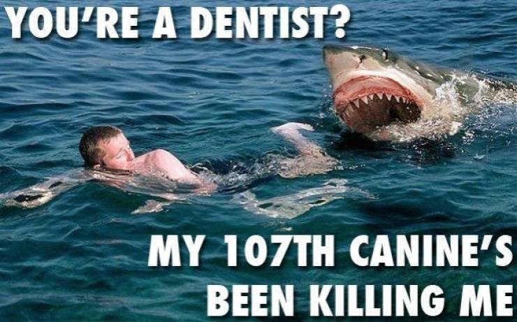 Take A Bite Out Of These Juicy Shark Week Memes (28 pics + 1 gif ...