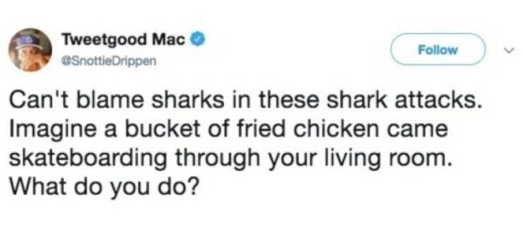 Take A Bite Out Of These Juicy Shark Week Memes (28 pics + 1 gif ...
