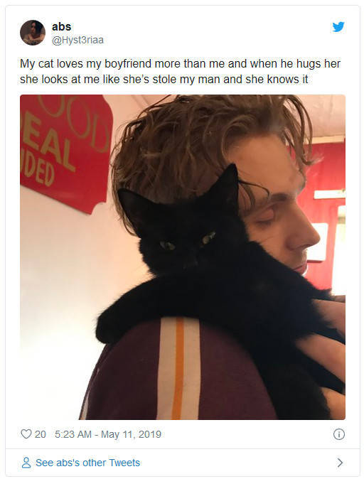 These Cats And Dogs Are The Faces Of Betrayal (13 pics + 1 gif ...