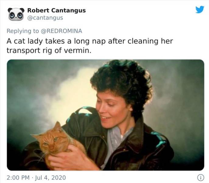 The Most Intentionally-Boring Reviews Of People’s Favorite Movies (38 ...