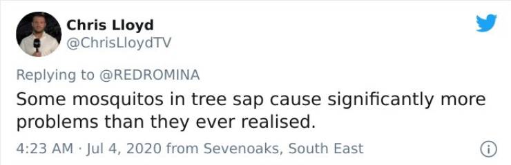 The Most Intentionally-Boring Reviews Of People’s Favorite Movies (38 ...