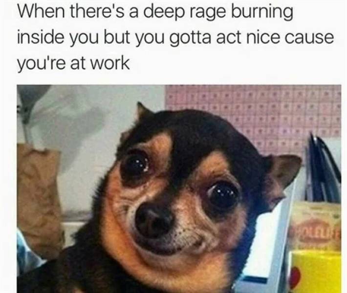 These Work Memes Can Support You While You Are At Work (28 PICS ...