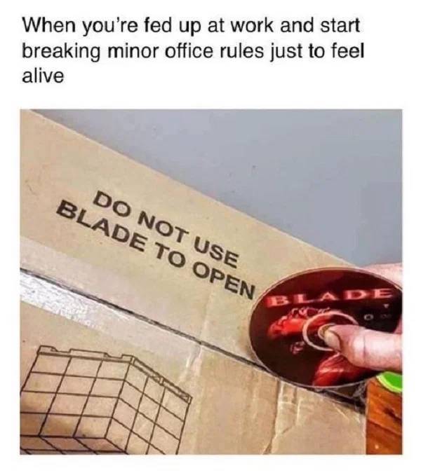 These Work Memes Can Support You While You Are At Work (28 PICS ...