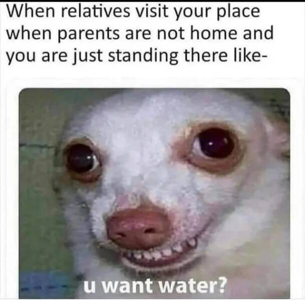 Funny Picdump (52 PICS) - Izismile.com