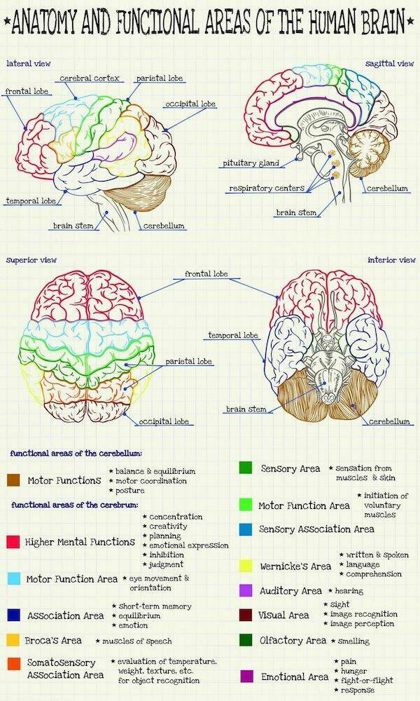 Random Knowledge Can Be Found In Random Charts (25 PICS + 1 GIF ...