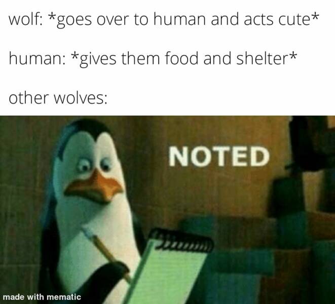 The Best Evolution Memes That Will Make You Believe In Survival Of The ...