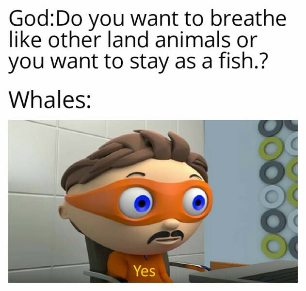 The Best Evolution Memes That Will Make You Believe In Survival Of The ...