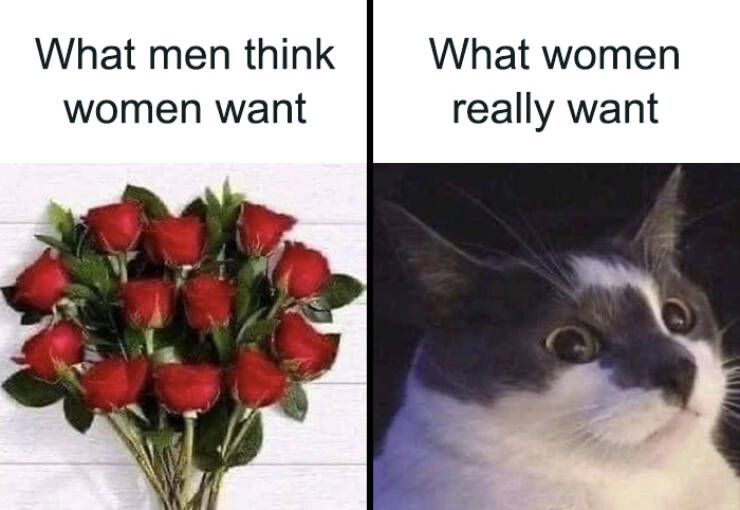 These "Uncomfortable Memes" Are Sure To Make You Laugh (49 PICS ...