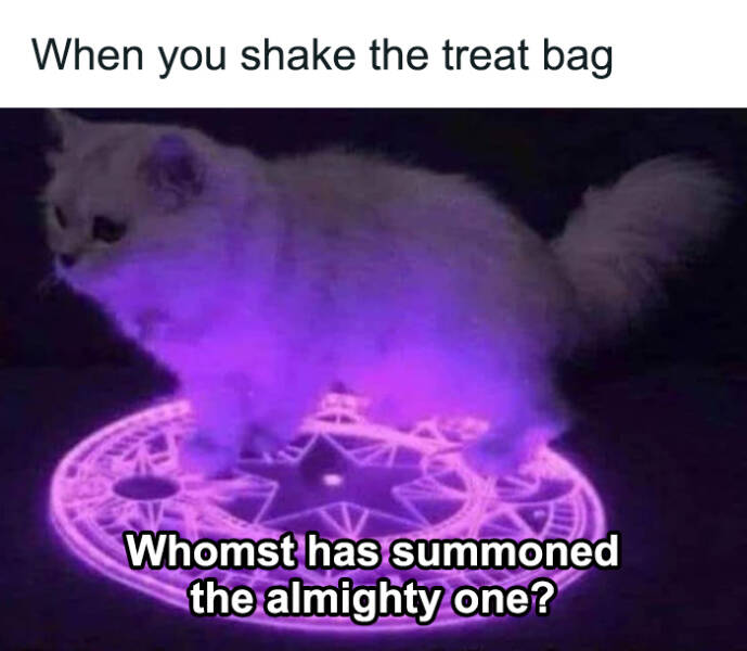 These "Uncomfortable Memes" Are Sure To Make You Laugh (49 PICS ...