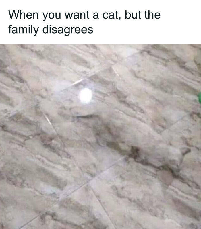 These "Uncomfortable Memes" Are Sure To Make You Laugh (49 PICS ...