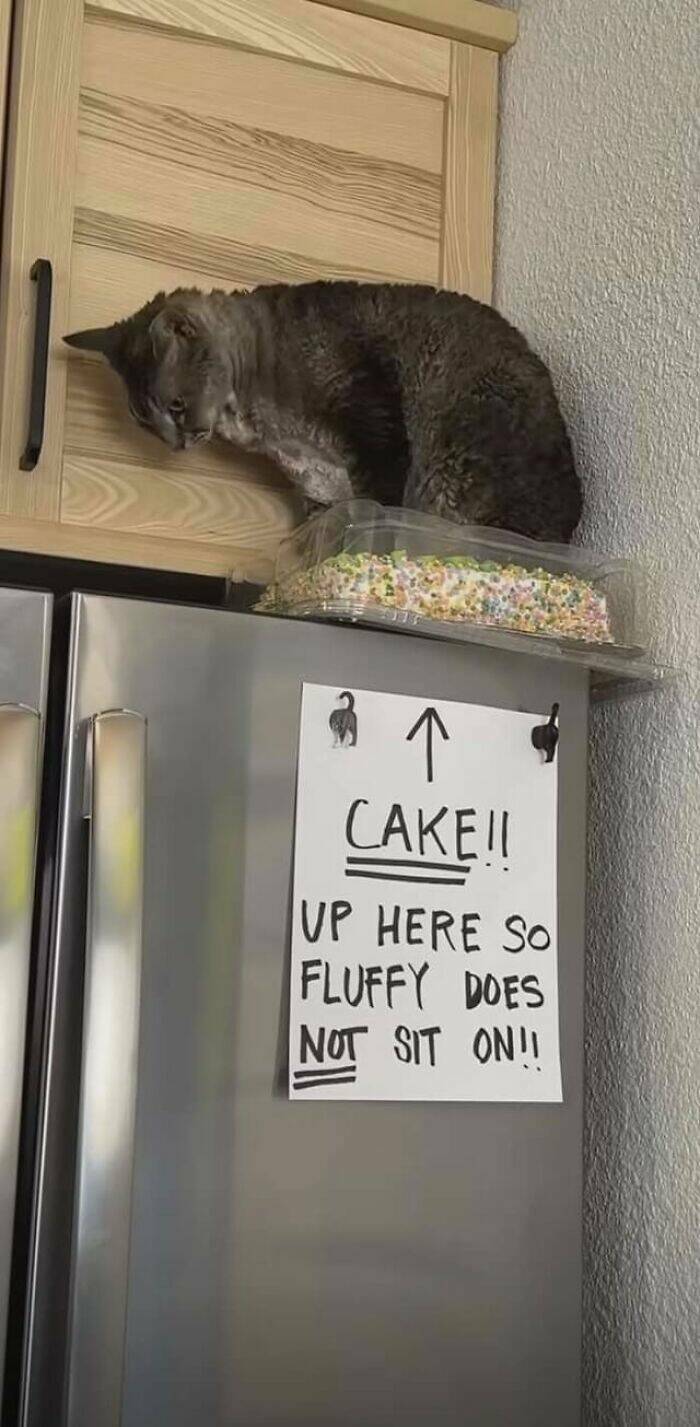 These "Uncomfortable Memes" Are Sure To Make You Laugh (49 PICS ...