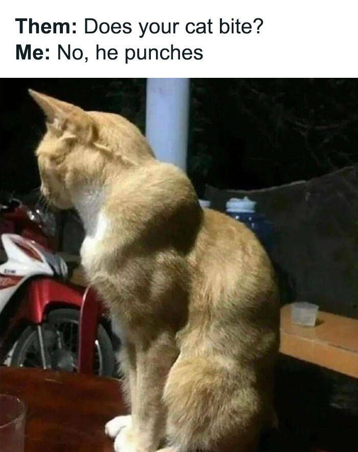 These "Uncomfortable Memes" Are Sure To Make You Laugh (49 PICS ...