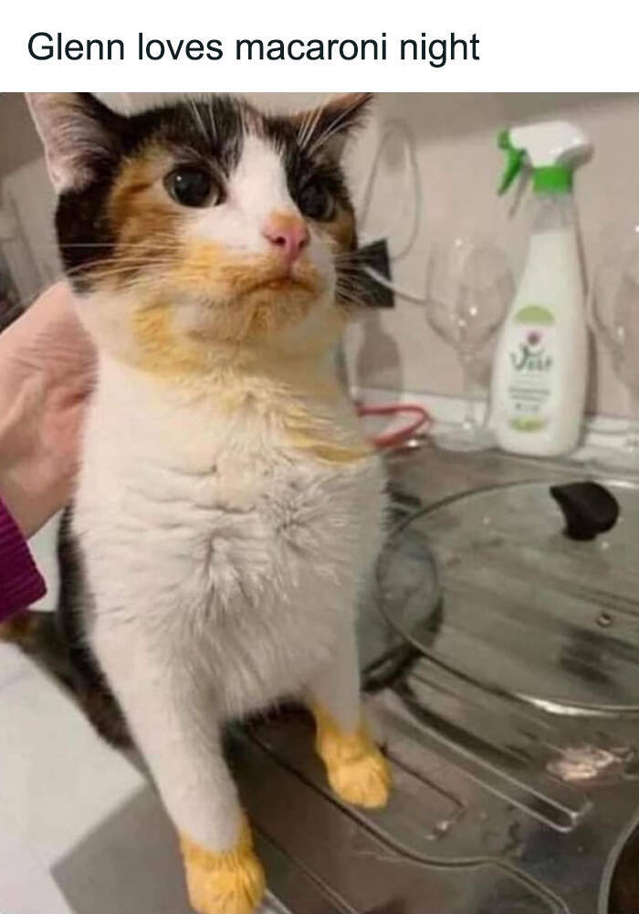 These "Uncomfortable Memes" Are Sure To Make You Laugh (49 PICS ...