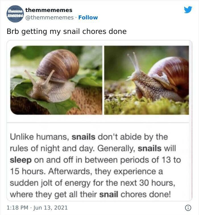 Memes That Perfectly Capture The Agony And Ecstasy Of Work Life (50 ...