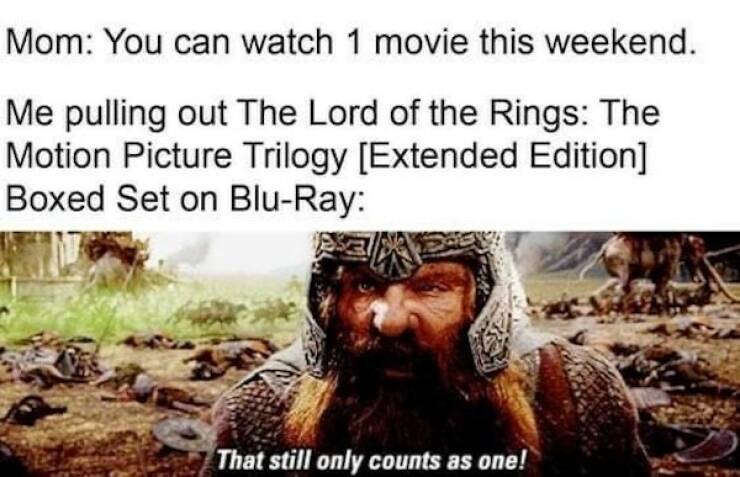 The Return Of The LOTR Memes (36 PICS) - Izismile.com
