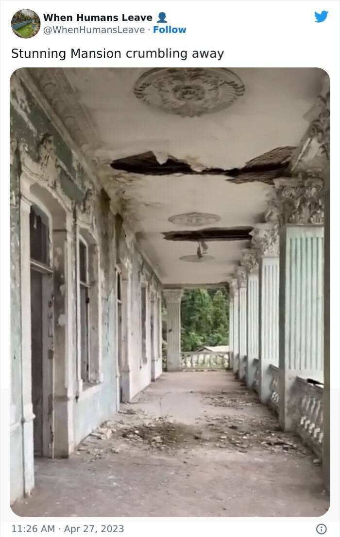 "Lost To Time: Exploring The Beauty Of Abandoned Places Reclaimed By ...