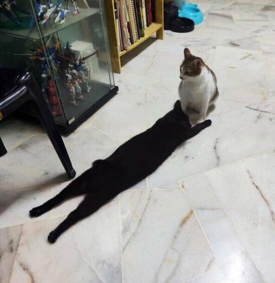 Tricky Images That Will Test Your Perception Skills (40 PICS ...