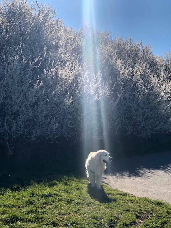 Picture Perfect: Amazingly Timed Images That Are Simply Unforgettable ...