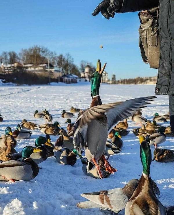 Picture Perfect: Amazingly Timed Images That Are Simply Unforgettable ...