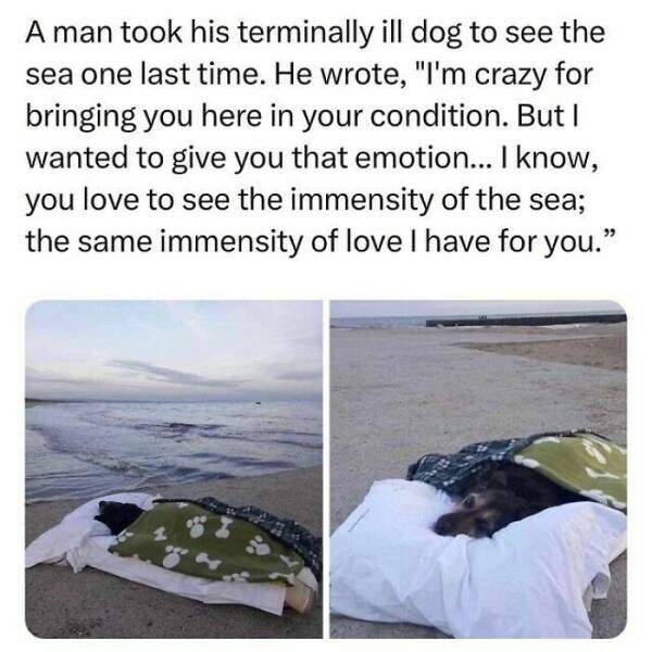Good Vibes Only: Wholesome Pictures And Memes To Brighten Your Day (49 ...