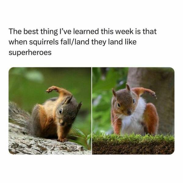 Good Vibes Only: Wholesome Pictures And Memes To Brighten Your Day (49 ...