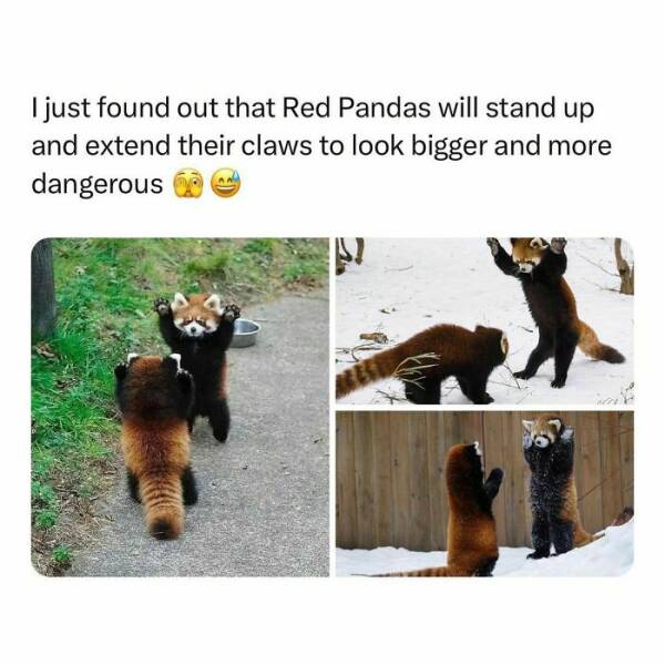 Good Vibes Only: Wholesome Pictures And Memes To Brighten Your Day (49 ...