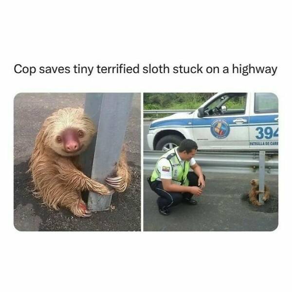 Good Vibes Only: Wholesome Pictures And Memes To Brighten Your Day (49 ...