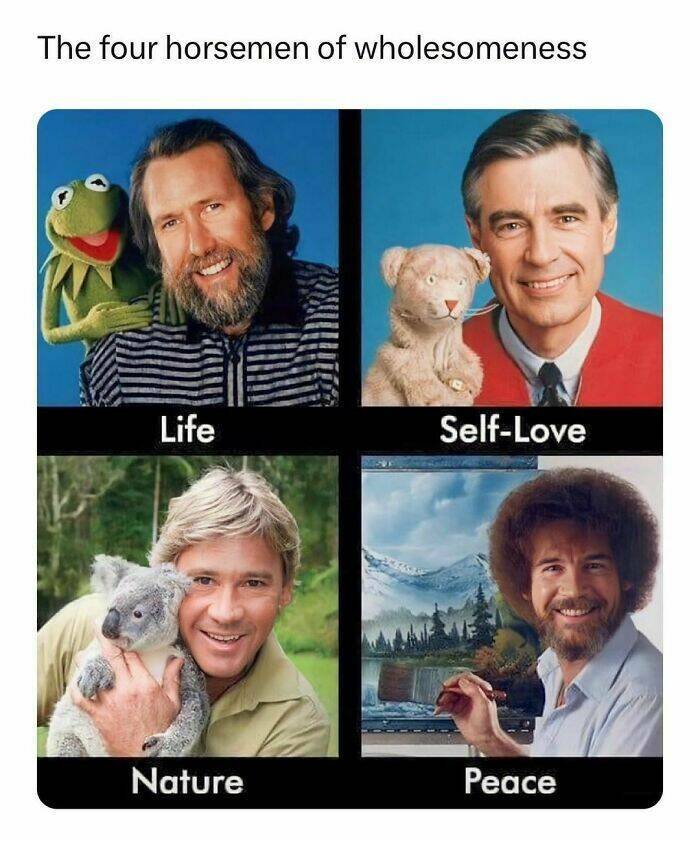 Good Vibes Only Wholesome Pictures And Memes To Brighten Your Day 49
