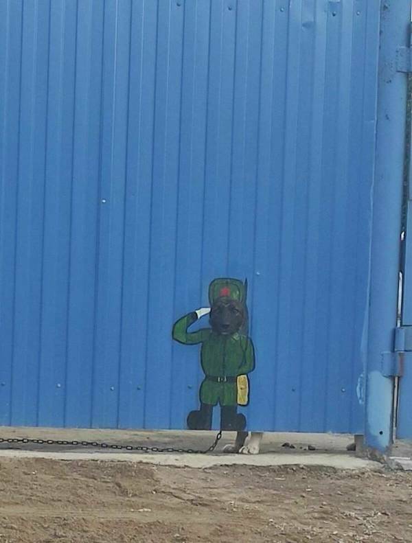 Fascination With Animals: Wild And Domestic At The Same Time (52 PICS ...