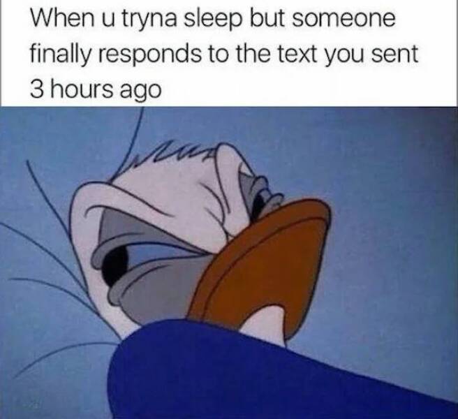 Sleepless In Memeland: Hilarious Memes For The Borderline Insomniacs ...