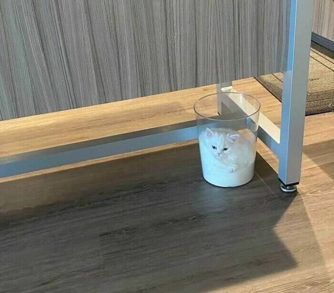 Edible Illusions: Food Items That Look Tasty, But Are Best Left ...