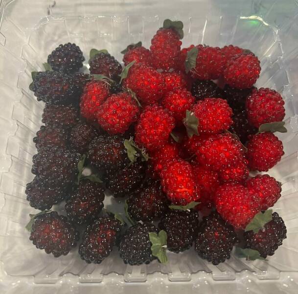 Edible Illusions: Food Items That Look Tasty, But Are Best Left ...