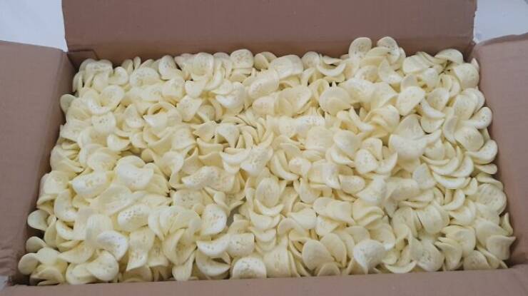 Edible Illusions: Food Items That Look Tasty, But Are Best Left ...