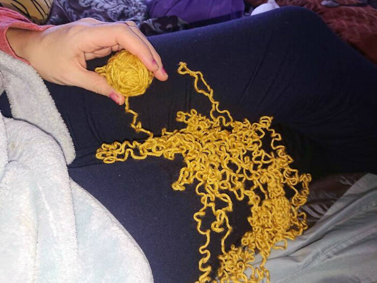 Edible Illusions: Food Items That Look Tasty, But Are Best Left ...