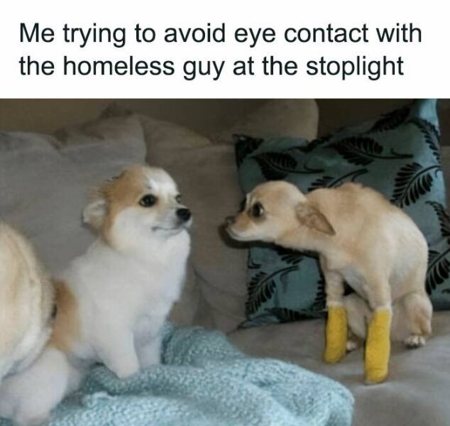 Relatable Memes That Hit Close To Home For Everyone (40 PICS ...