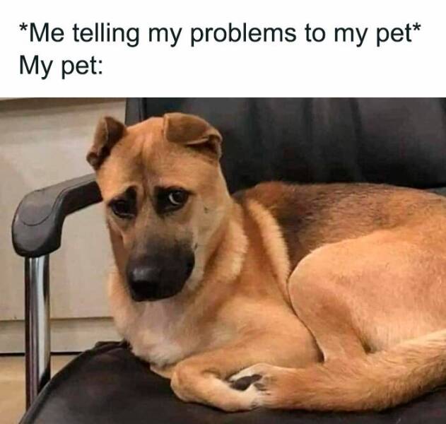 Relatable Memes That Hit Close To Home For Everyone (40 PICS ...