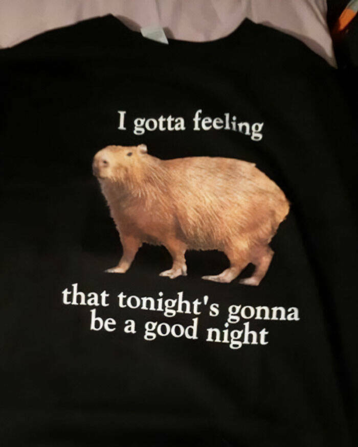 Bold And Bizarre: Questionable Shirts That Will Make You Laugh (46 PICS ...