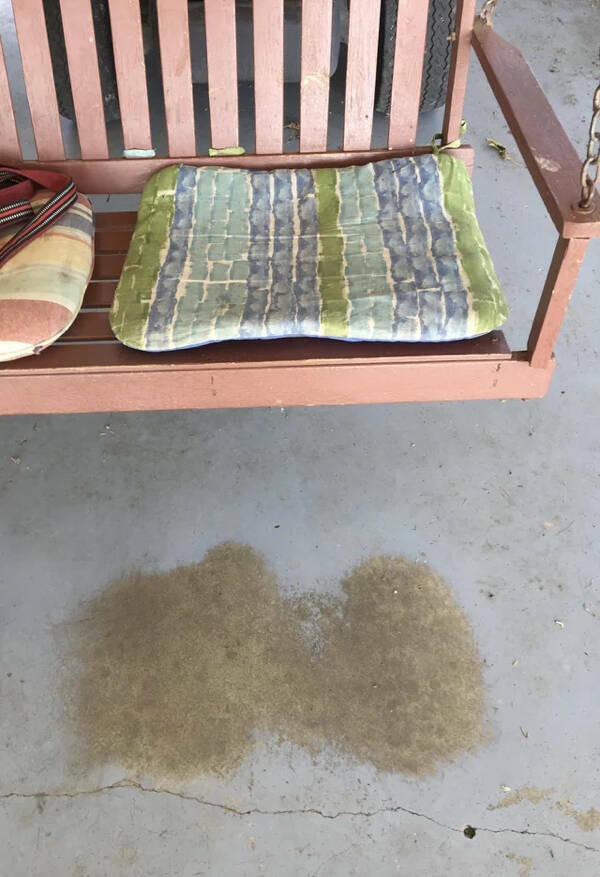 Exploring The Sentimental Value Of Well Worn Objects (27 PICS ...