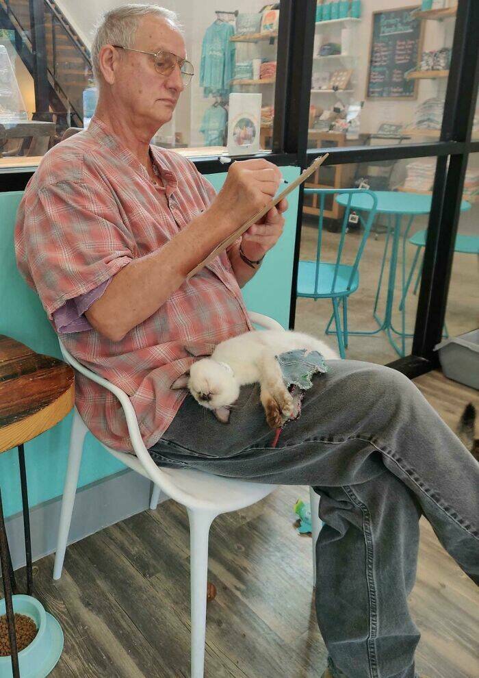 Incredible Animal Acts Of Kindness That Will Restore Your Faith In The ...
